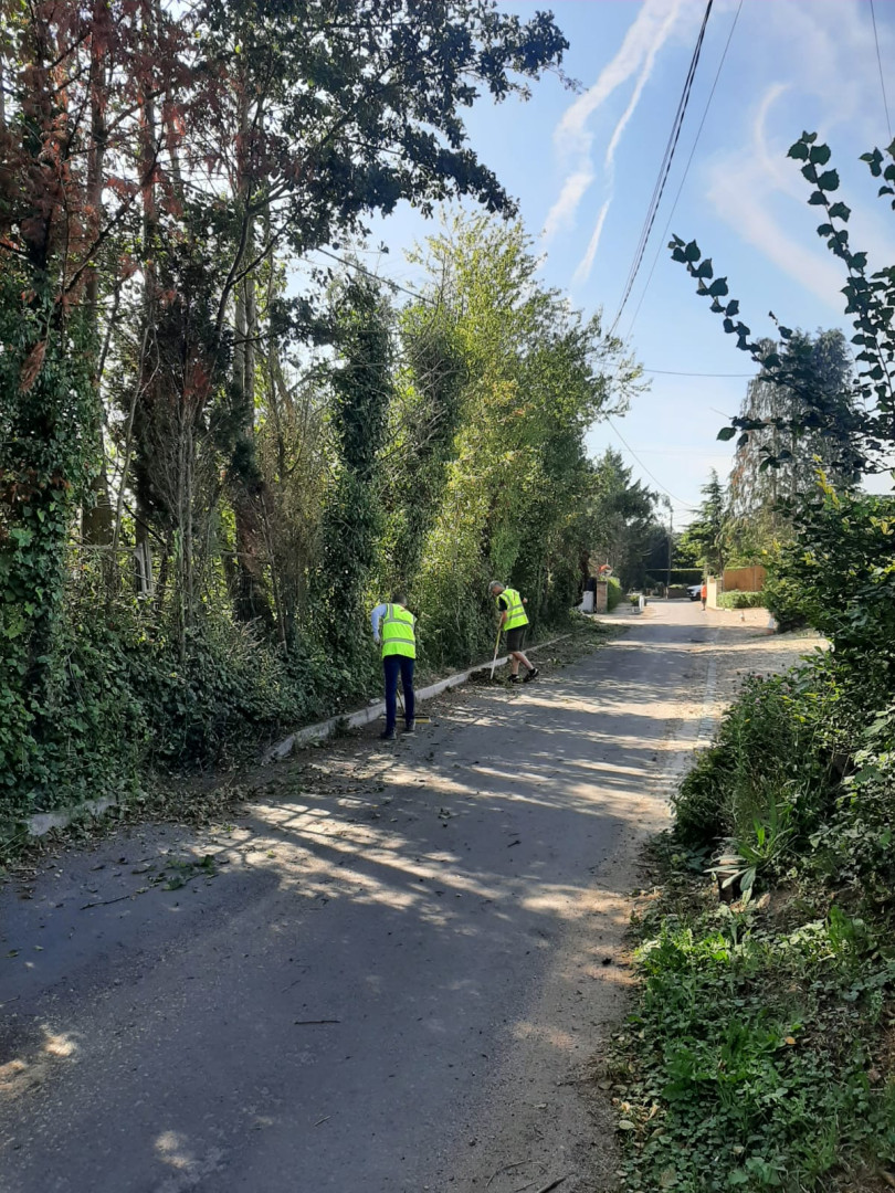 Community Clean Up Event Brightens Hurst Lane - PHD Access
